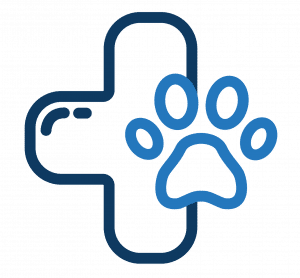 Veterinary Professional | Eye Vet | Runcorn